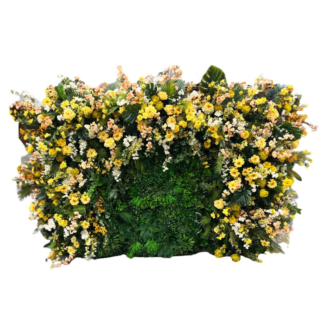 Fotosein Rosie - Funrent